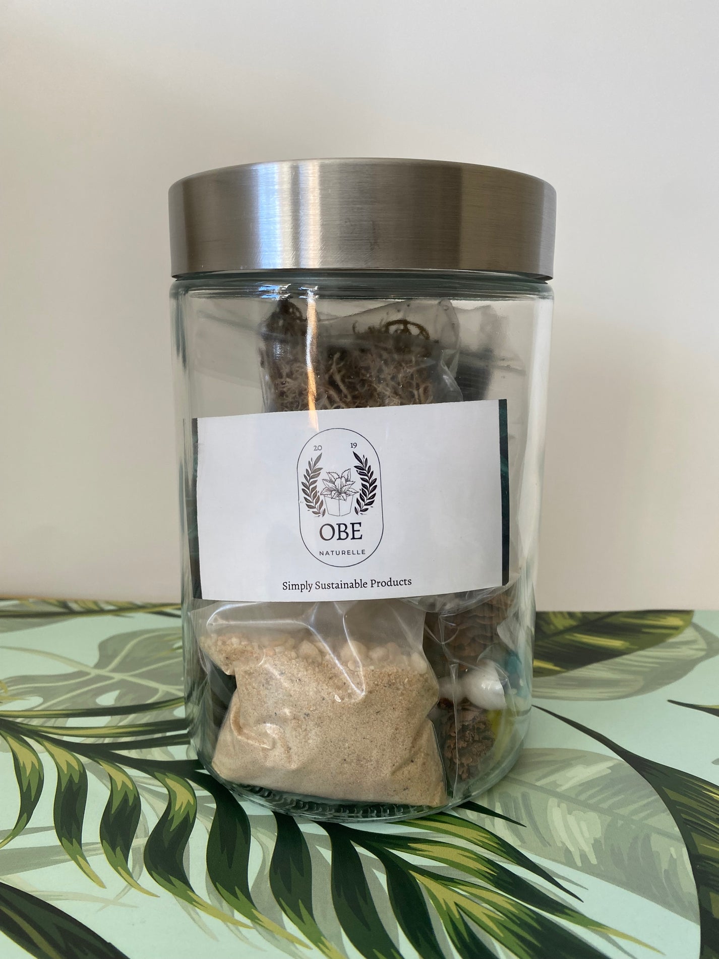 Complete Terrarium Building Kit - Succulent Plant Kit - Terrarium Kit ...